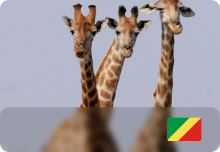 eSIM לקונגו במחיר המשתלם ביותר!- Wifly